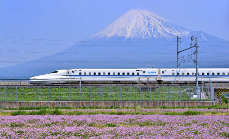One Day Trip to Mt. Fuji: Best Transportation Options & Cost Comparison ...