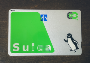 Kids Suica Card in Japan: Eligibility, Benefits, and How to Get One ...