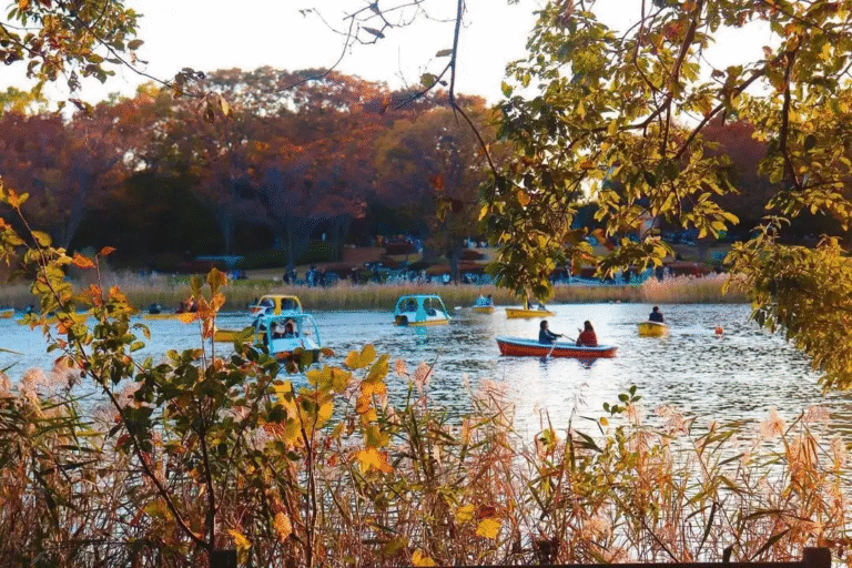 Top Places to Visit in Japan in October (2025 Edition) - Japan Insider ...