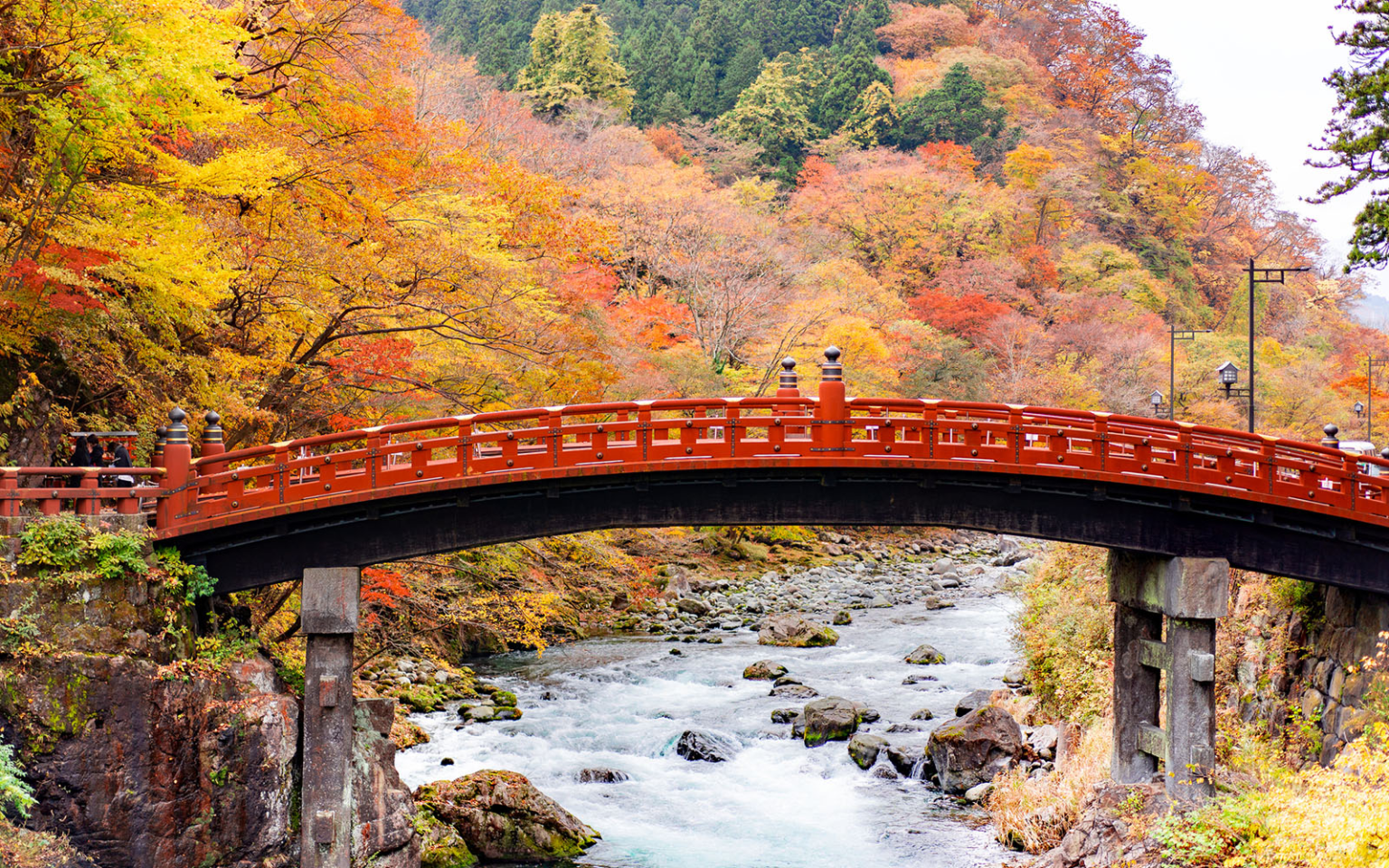 Nikko Shrines and Temples: A Complete Guide to Japan’s Sacred Mountain ...